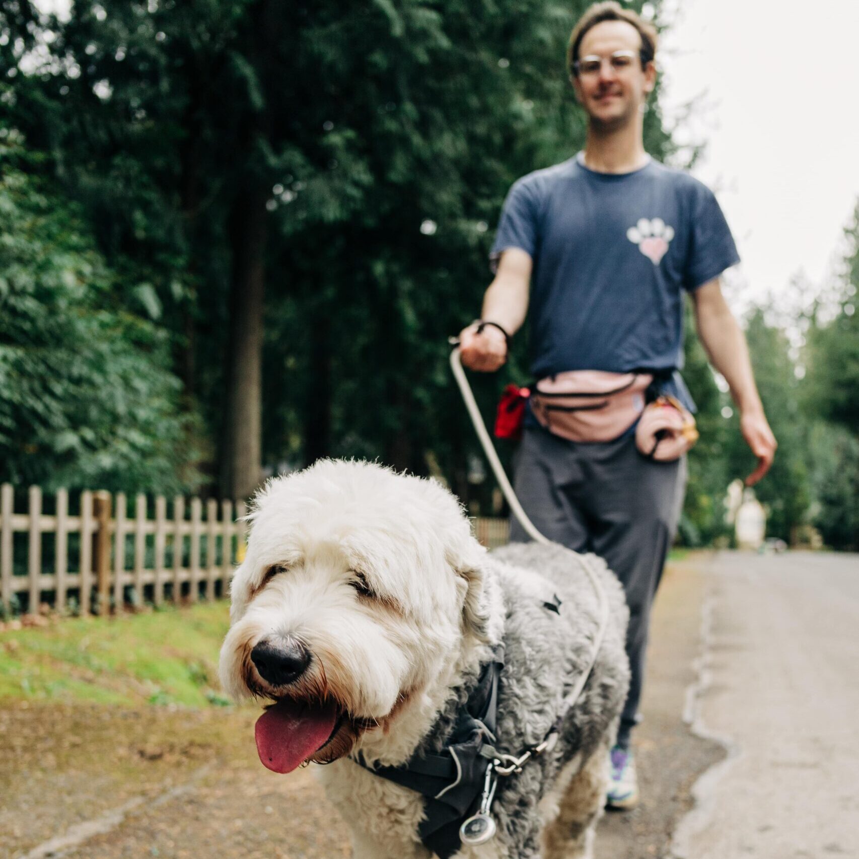 Services | PetSitter Portland